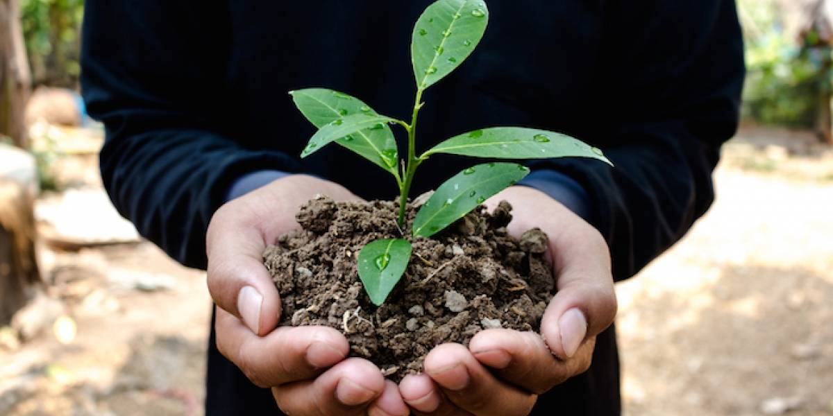 Grow Awareness - Beverly Hills Farmer